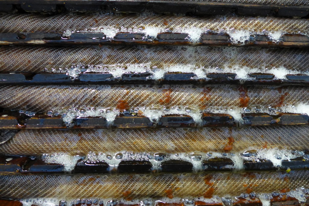 Welcome to Hollow Ash - Hollow Ash